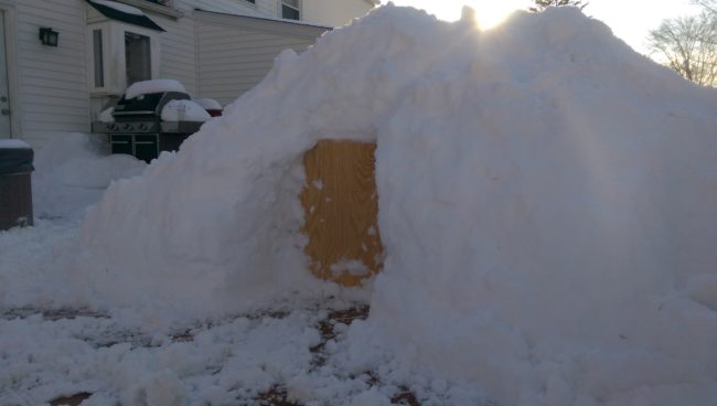 During The Storm, They Built An Igloo. When You See The Inside, Your ...