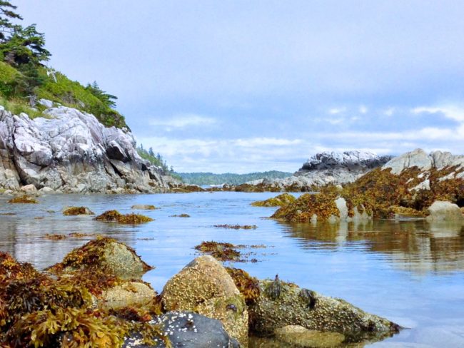 This Excavation Turned Up Something That Could Redefine North American ...