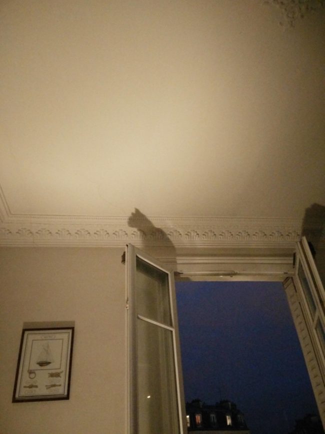 32 Creepy, Beautiful, And Weird Shadows That’ll Make You See The World ...