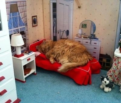 These 30 Adorable Giants Are About To Make Your Day 100x Better – ViralNova