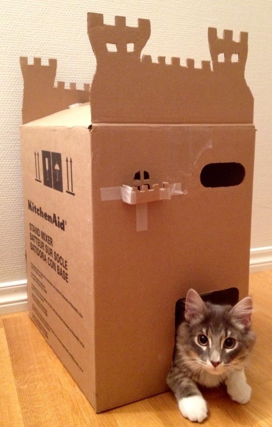 28 Cats Who Love Cardboard Boxes More Than Anything Else In Life ...