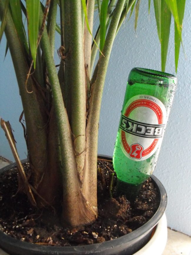 16 Totally Unique Ways To Reuse Old Beer Bottles — So Cool! – ViralNova