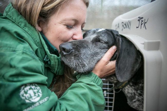 These Heart-Wrenching Photos Capture The Triumph Of A Dog Meat Farm ...