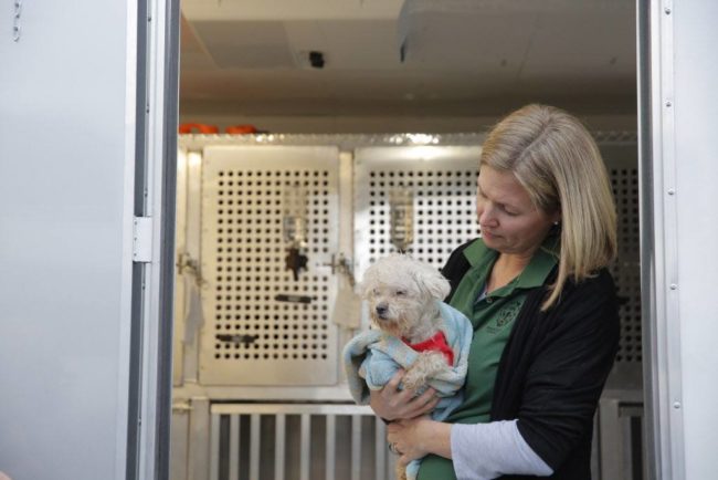 These Heart-Wrenching Photos Capture The Triumph Of A Dog Meat Farm ...
