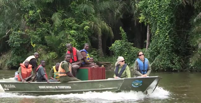 Jane Goodall Saved This Chimp’s Life. Watch What Happened When They ...