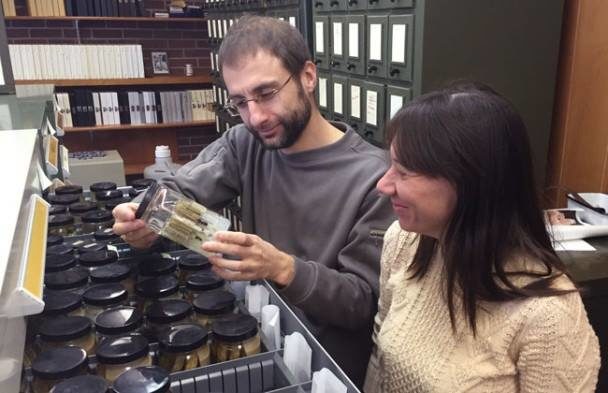 Yes, The U.S. National Tick Collection Is A Thing That Exists. You’re ...