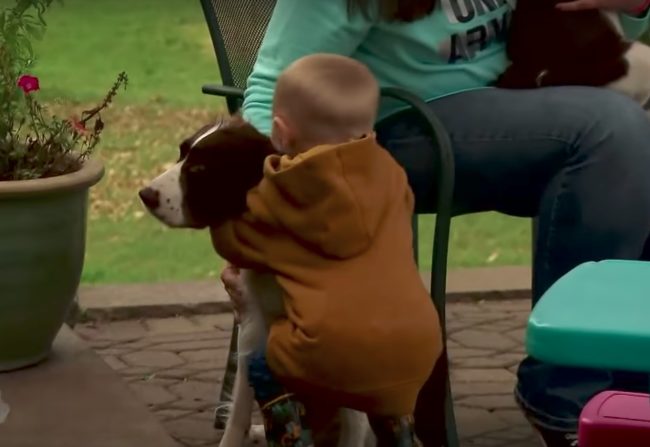A Boy Got Hopelessly Lost In A Cornfield, But You Have To See Who ...