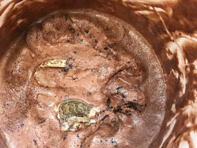 This Is Definitely Not What You Want To Find When You Dig Into ...