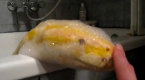 Watching A Pet Python Taking A Bubble Bath Is Oddly Cute – ViralNova