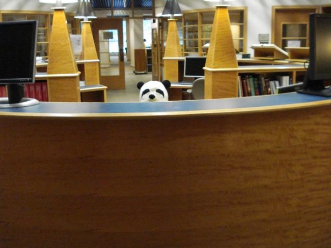 15 Funny Librarians Who Prove Libraries Are Anything But Boring – ViralNova