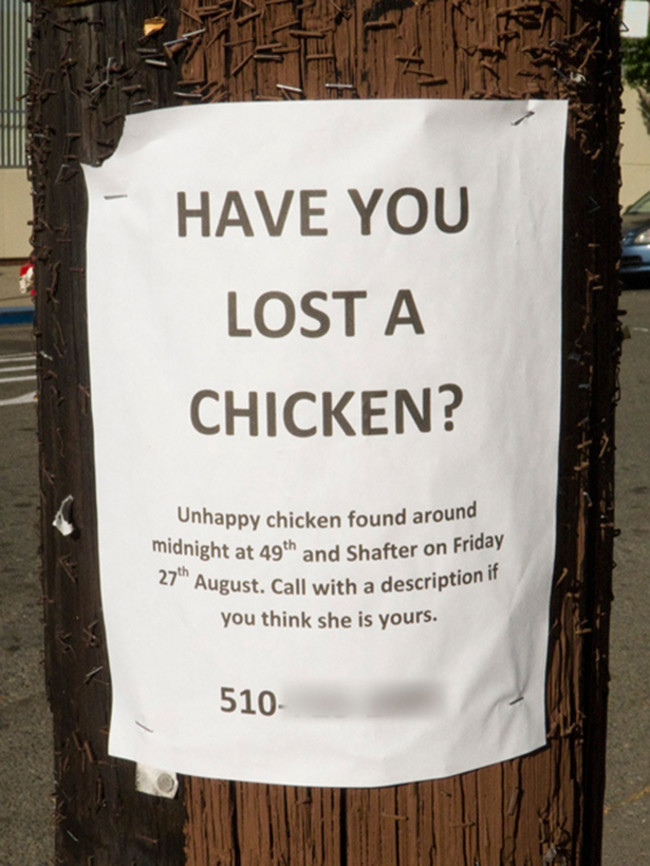 Whoever Put Up These Hysterical Flyers Is A Brilliant Mastermind ...