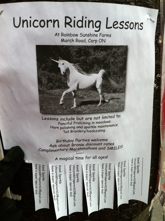 Whoever Put Up These Hysterical Flyers Is A Brilliant Mastermind ...