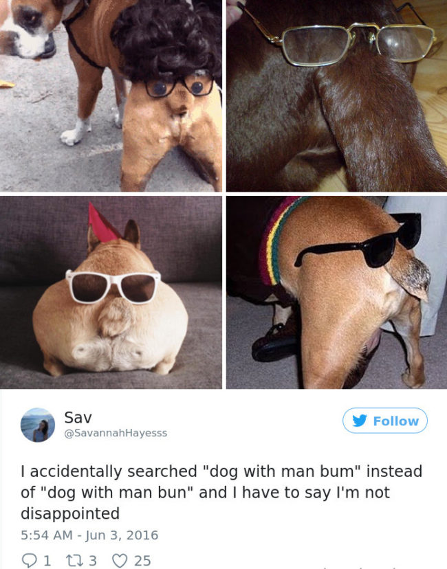 25 Hilarious Google Mistakes That Led To The Most Epic Results Ever ...